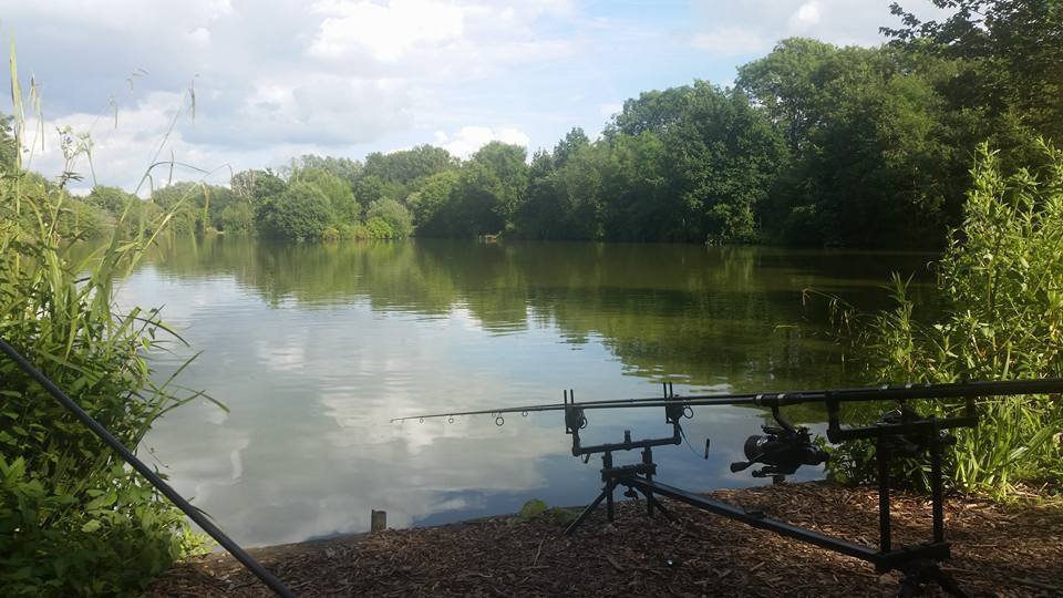 Newland Hall Fishery