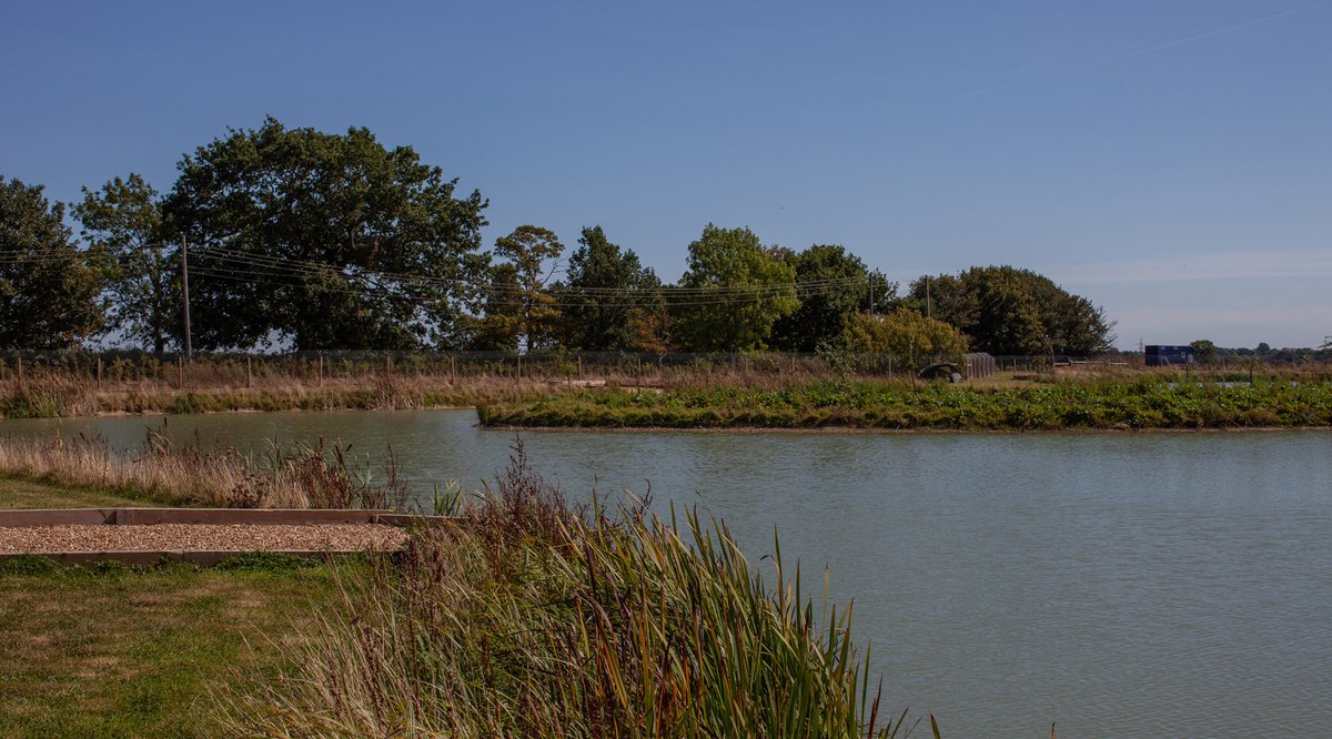 Darrow Farm Fishery - Norfolk