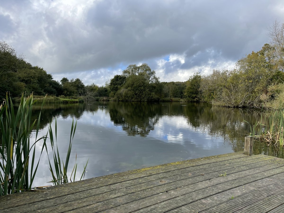 Duncton Mill Trout Fishery
